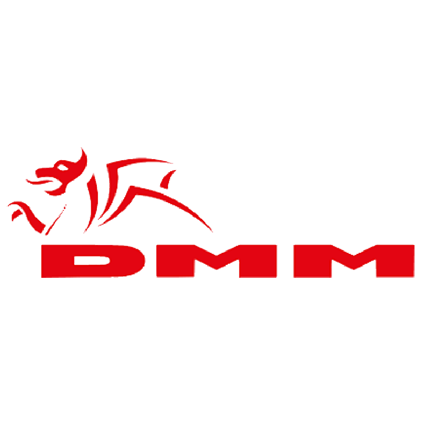 DMM — Arlington Power Equipment
